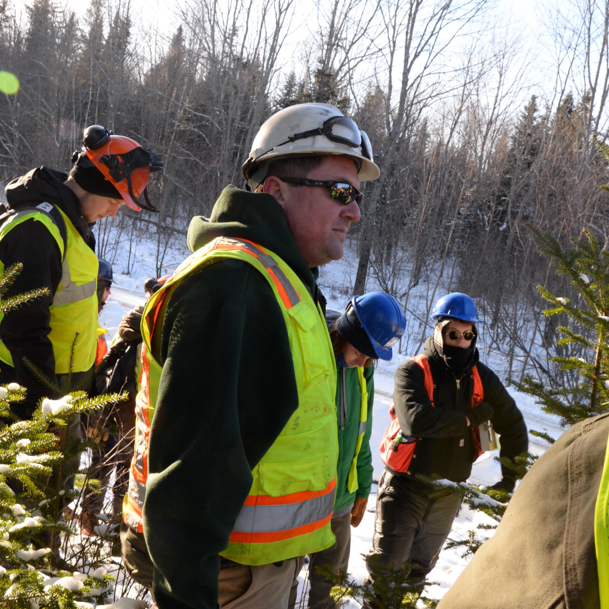 Student Foresters | Maine Logging, Timber Harvesting, and Forest Management