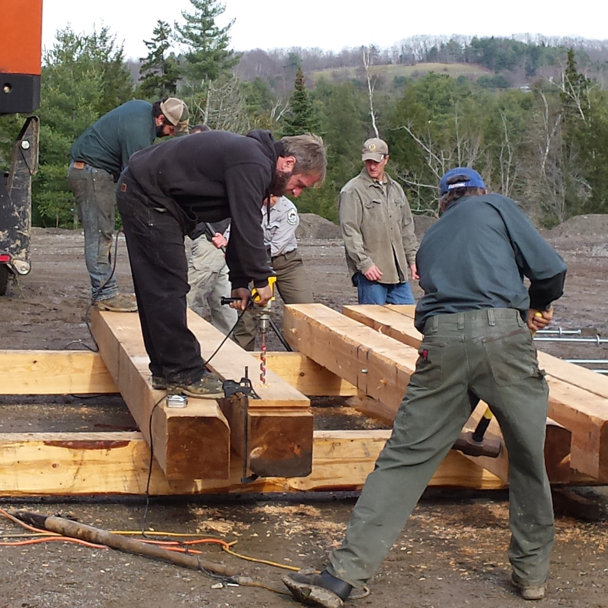 Working Loggers | Maine Logging, Timber Harvesting, and Forest Management