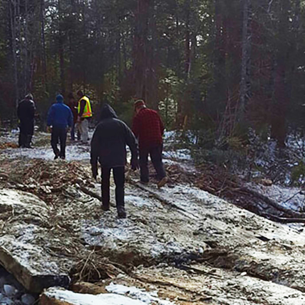 Maine Woodland Owners | Maine Logging, Timber Harvesting, and Forest ...