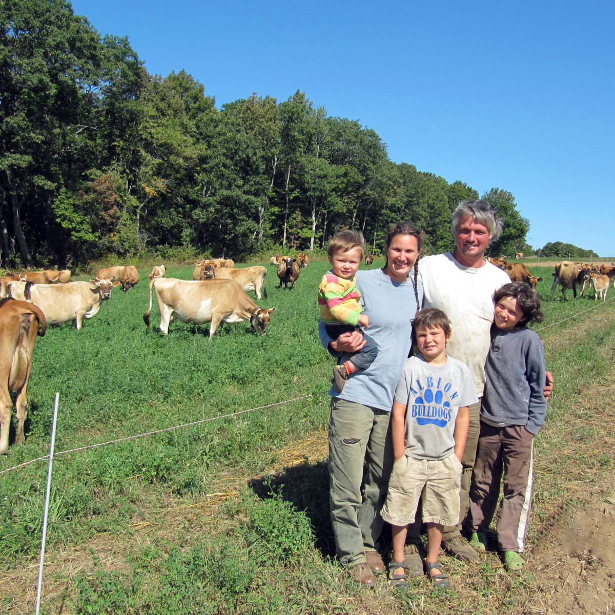 Testimonials | Maine Logging, Timber Harvesting, and Forest Management