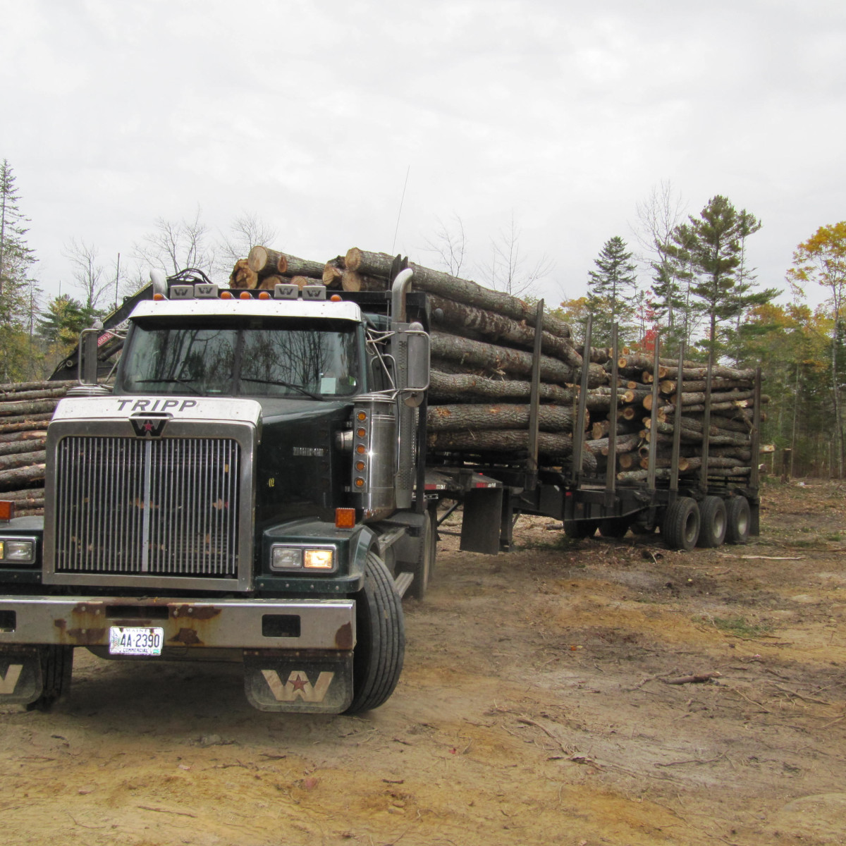 Summer/Fall Loads | Gallery | Maine Logging, Timber Harvesting, and ...