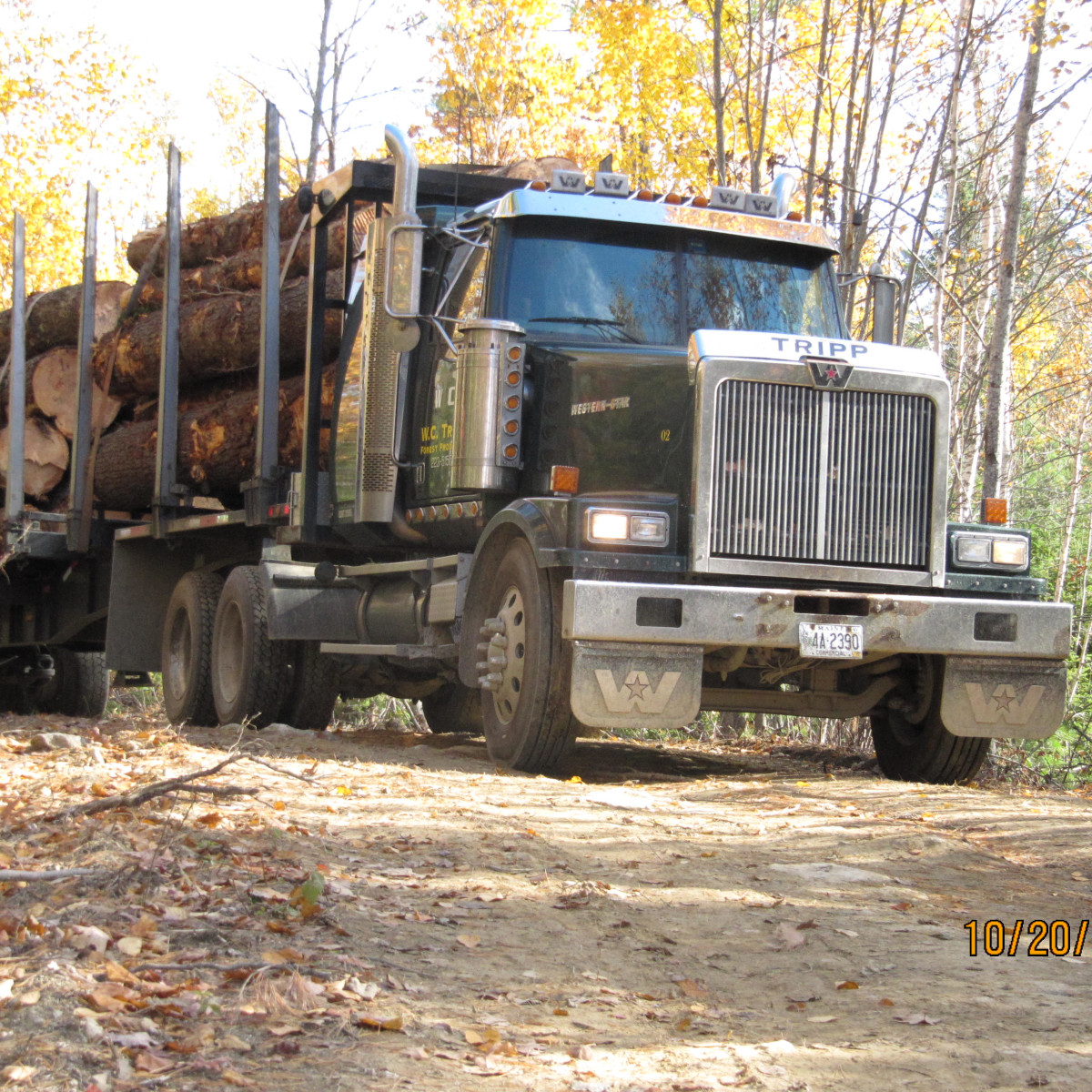 Summer/Fall Loads | Gallery | Maine Logging, Timber Harvesting, and ...