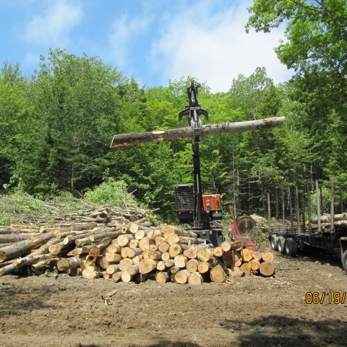 Slasher/Delimber/Crane | Gallery | Maine Logging, Timber Harvesting ...
