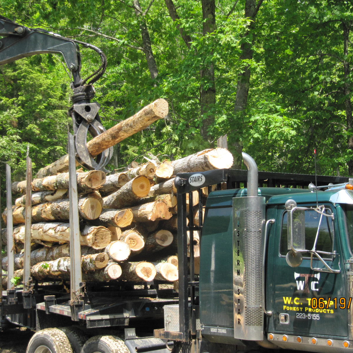 Slasher/Delimber/Crane | Gallery | Maine Logging, Timber Harvesting ...