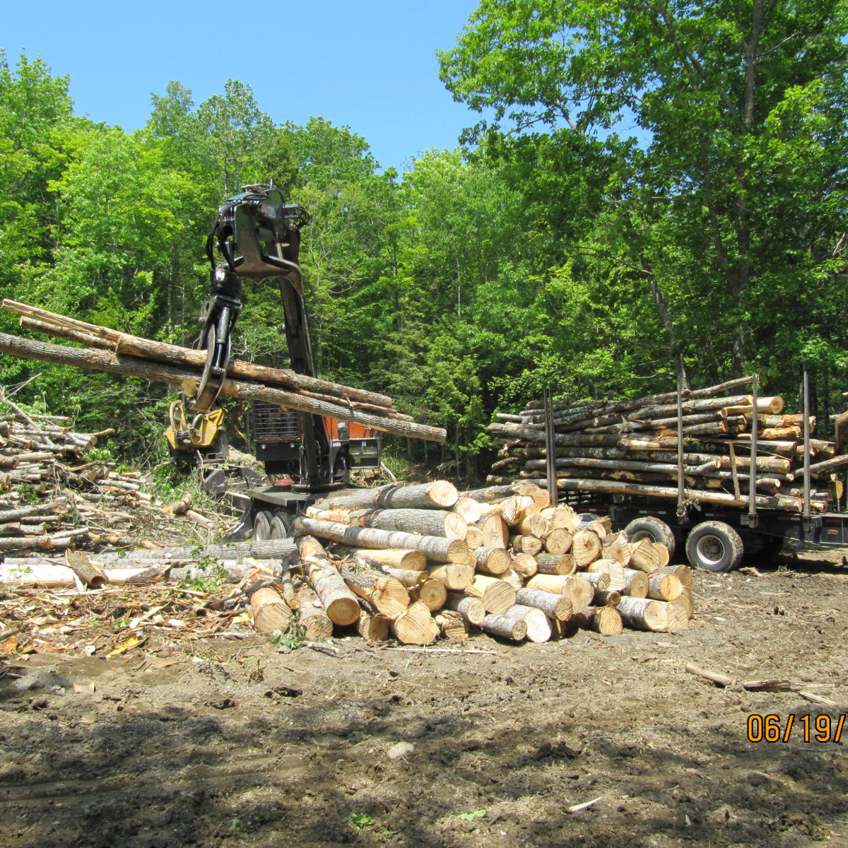Slasher/Delimber/Crane | Gallery | Maine Logging, Timber Harvesting ...