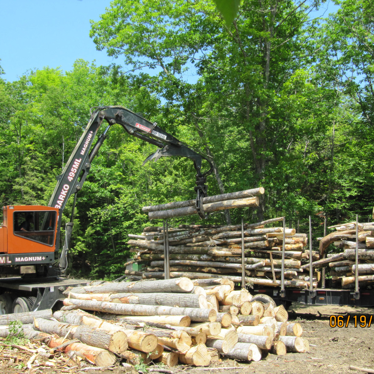 Slasher/Delimber/Crane | Gallery | Maine Logging, Timber Harvesting ...