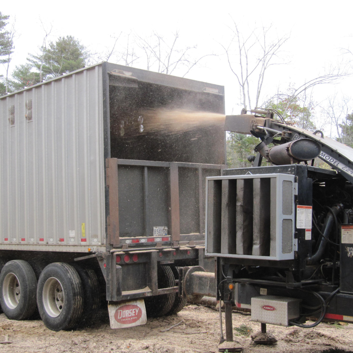 Gallery | Maine Logging, Timber Harvesting, and Forest Management
