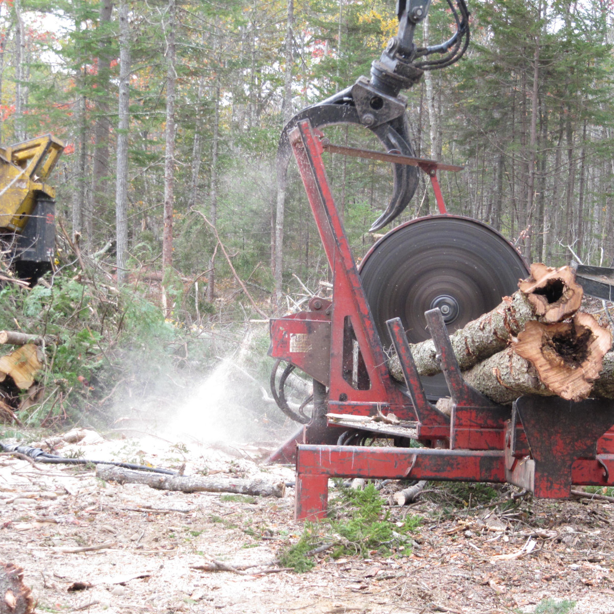 Gallery | Maine Logging, Timber Harvesting, and Forest Management