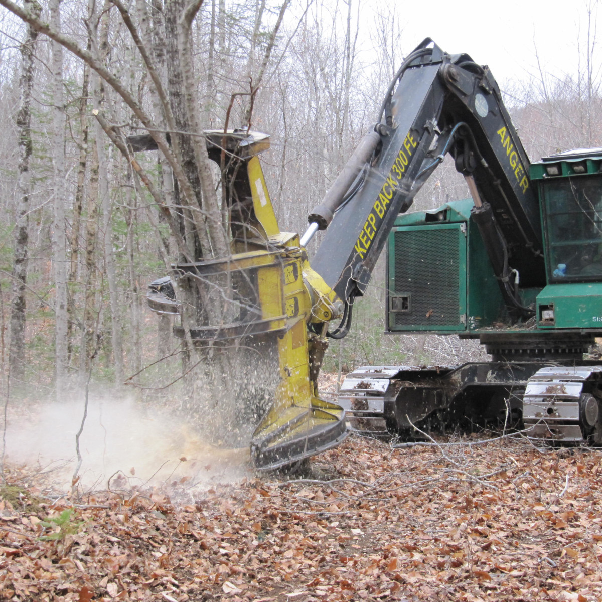 Feller Buncher | Gallery | Maine Logging, Timber Harvesting, and Forest ...