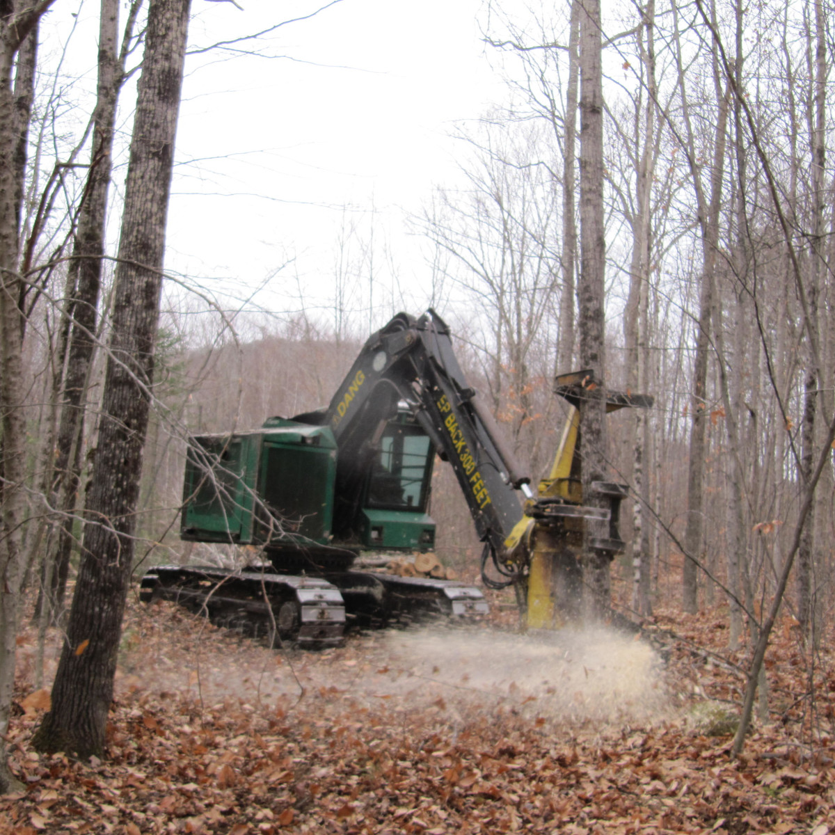 Feller Buncher | Gallery | Maine Logging, Timber Harvesting, and Forest ...