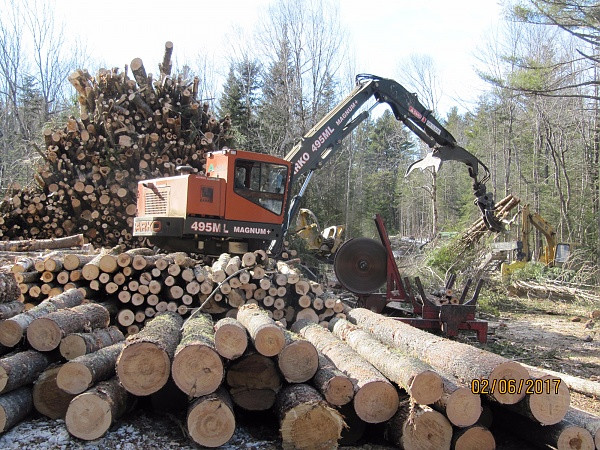 Slasher/Delimber/Crane | Gallery | Maine Logging, Timber Harvesting ...