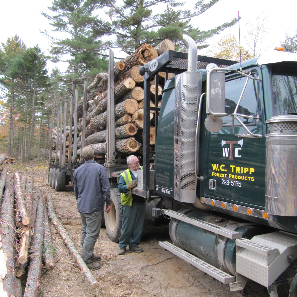 Summer/Fall Loads | Gallery | Maine Logging, Timber Harvesting, and ...