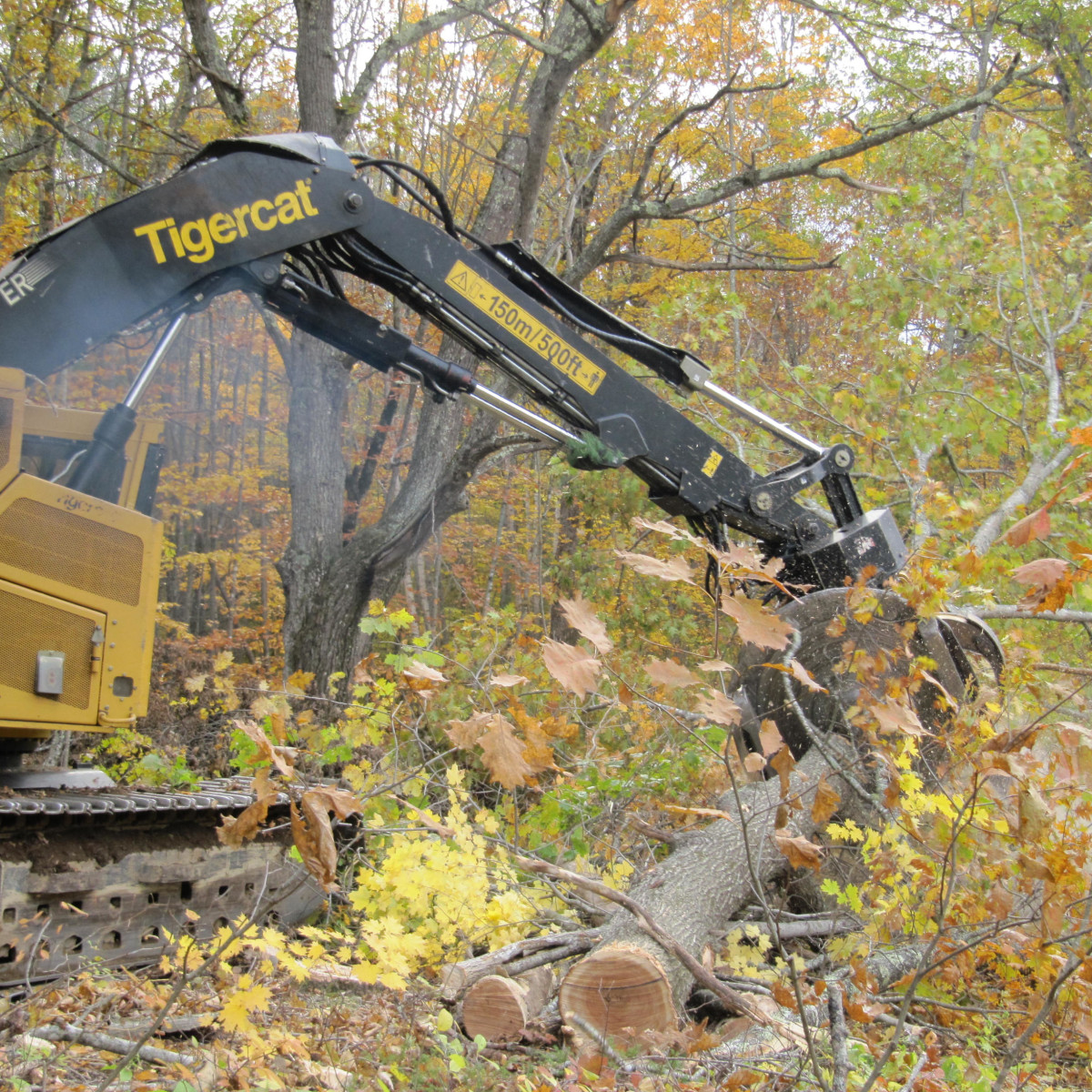 Feller Buncher | Gallery | Maine Logging, Timber Harvesting, and Forest ...