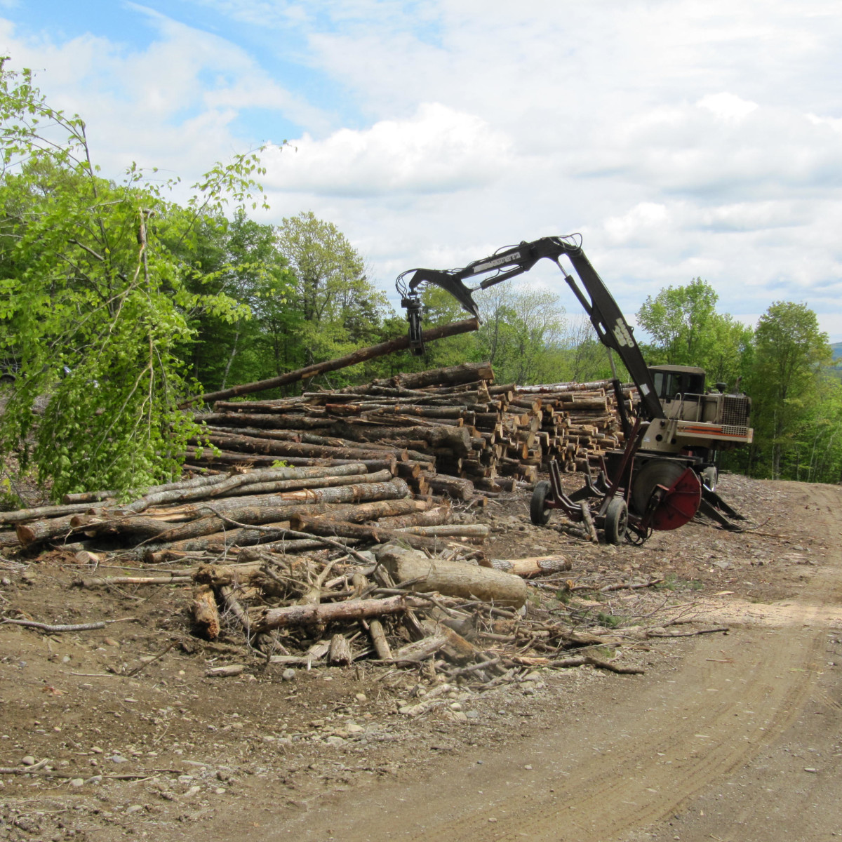 Our Work | Maine Logging, Timber Harvesting, and Forest Management