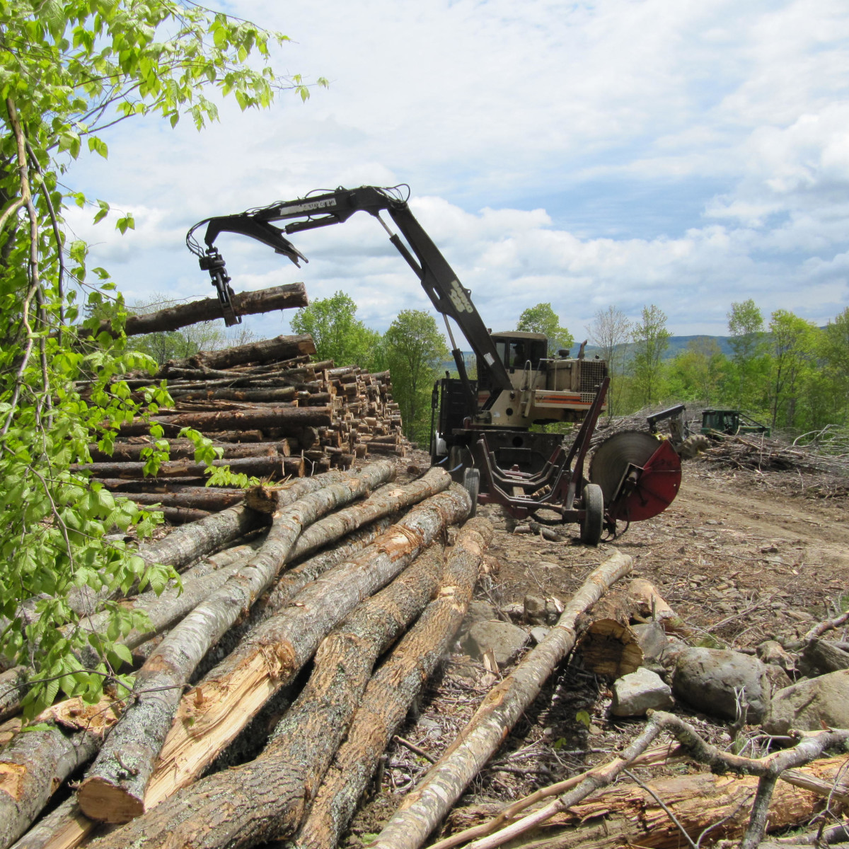 Our Work | Maine Logging, Timber Harvesting, and Forest Management