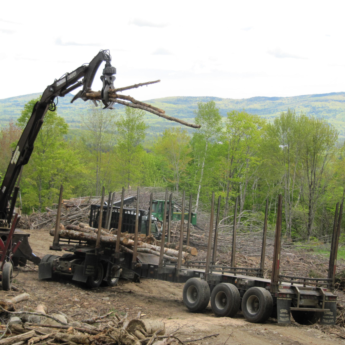 Our Work | Maine Logging, Timber Harvesting, and Forest Management