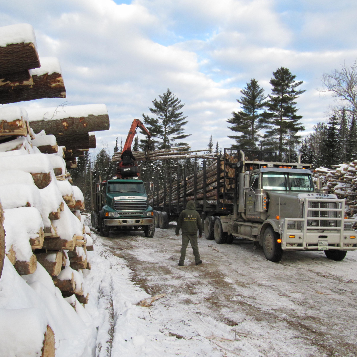 Gallery | Maine Logging, Timber Harvesting, and Forest Management