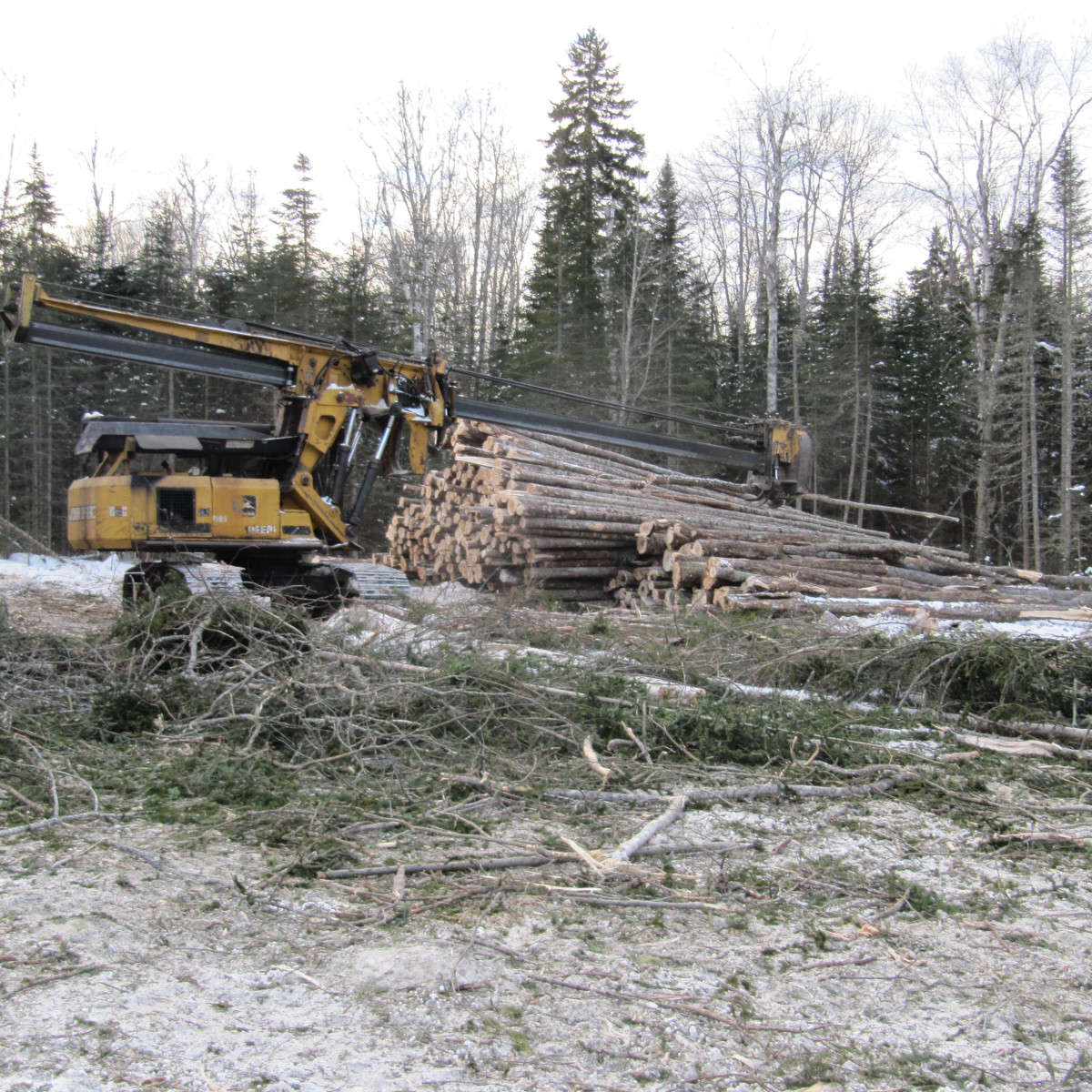 Stroke Delimber | Gallery | Maine Logging, Timber Harvesting, and ...