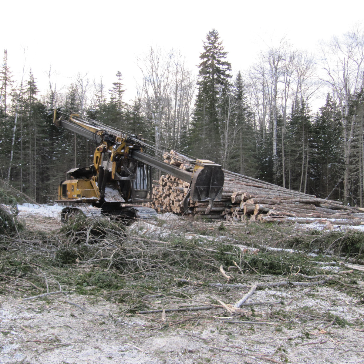 Gallery | Maine Logging, Timber Harvesting, and Forest Management