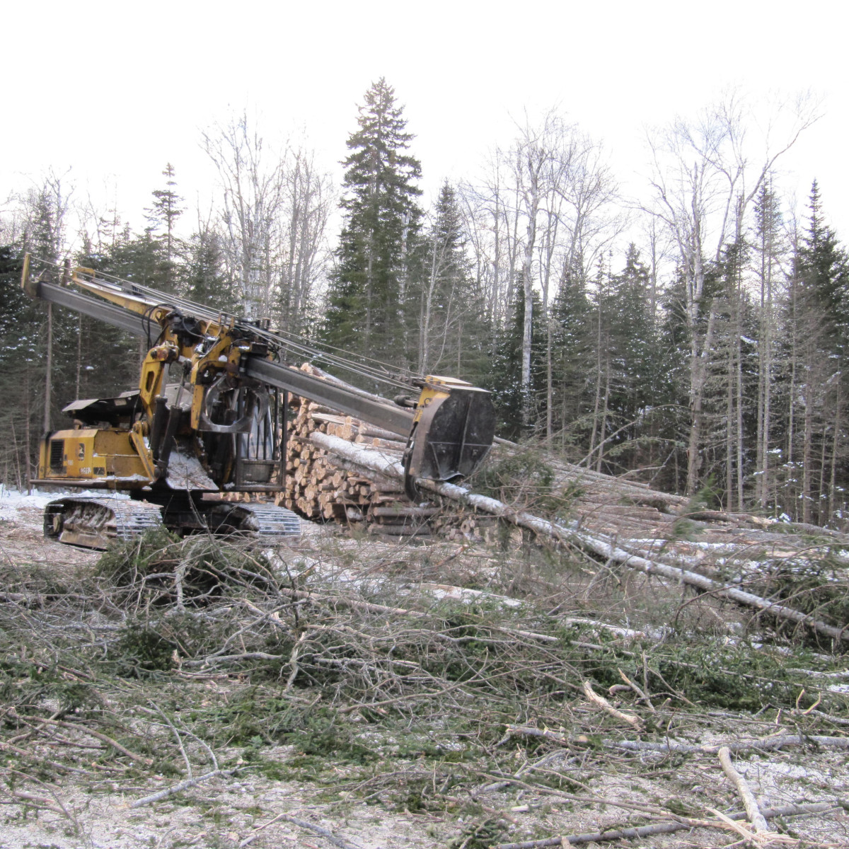 Gallery | Maine Logging, Timber Harvesting, and Forest Management
