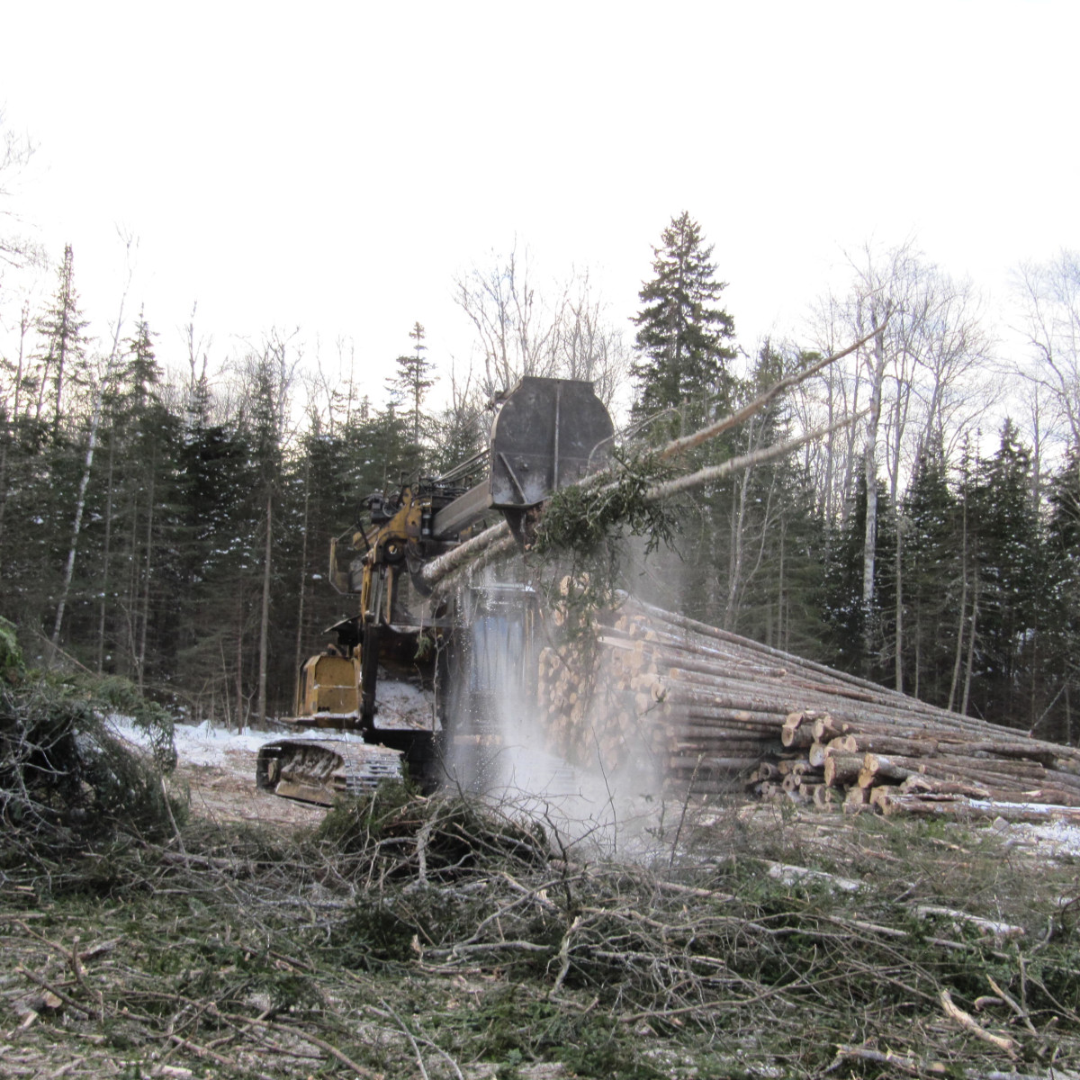 Stroke Delimber | Gallery | Maine Logging, Timber Harvesting, and ...